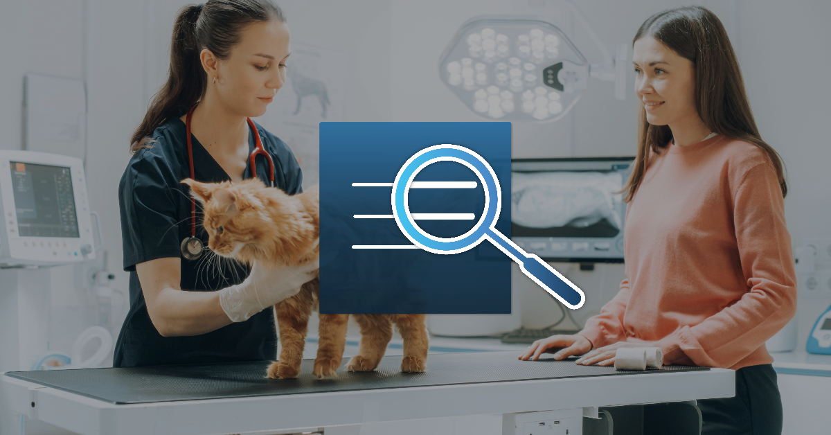 Hibu Client Case Study: West Toledo Animal Hospital