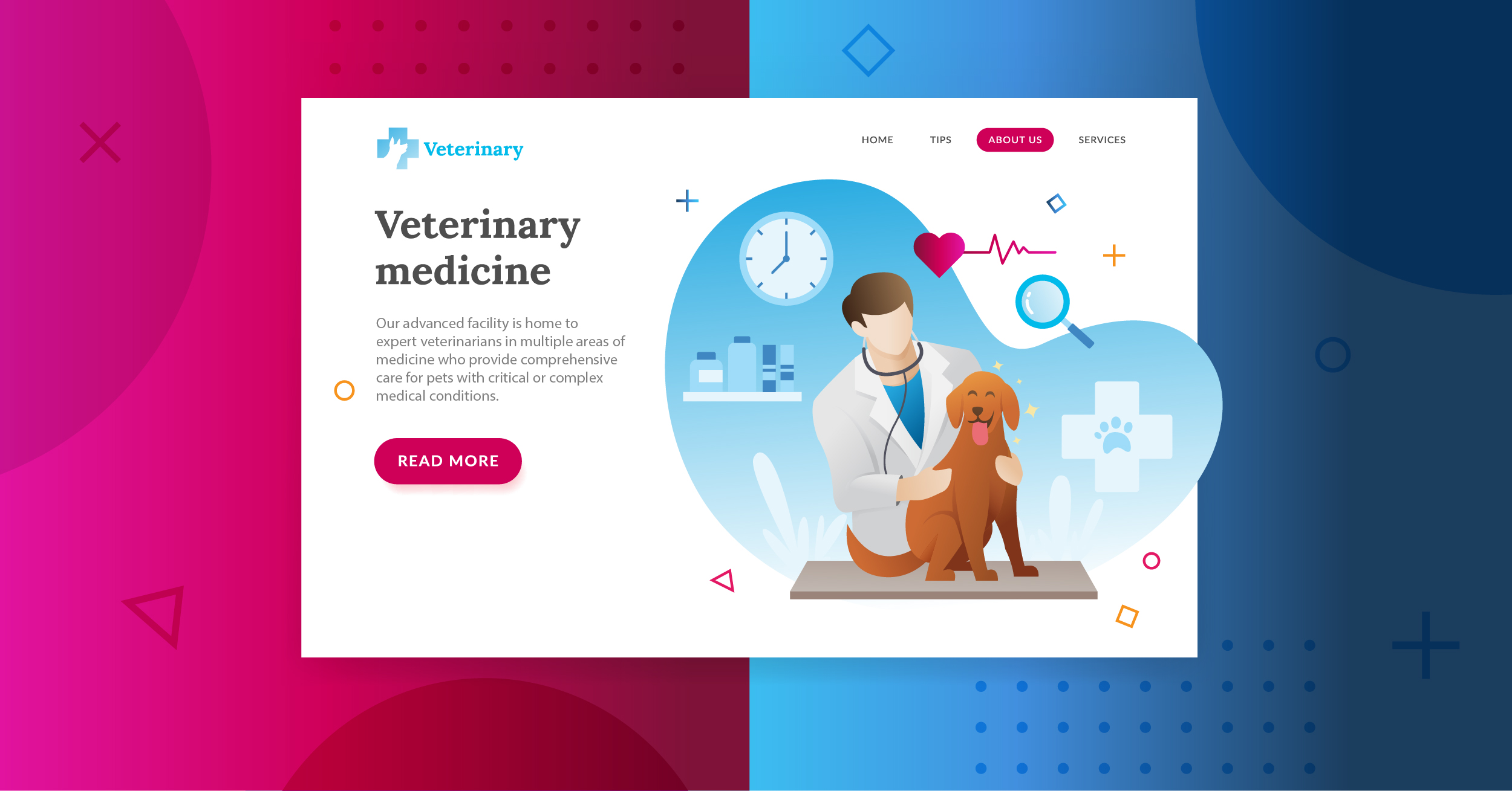Veterinary Website Design Best Practices